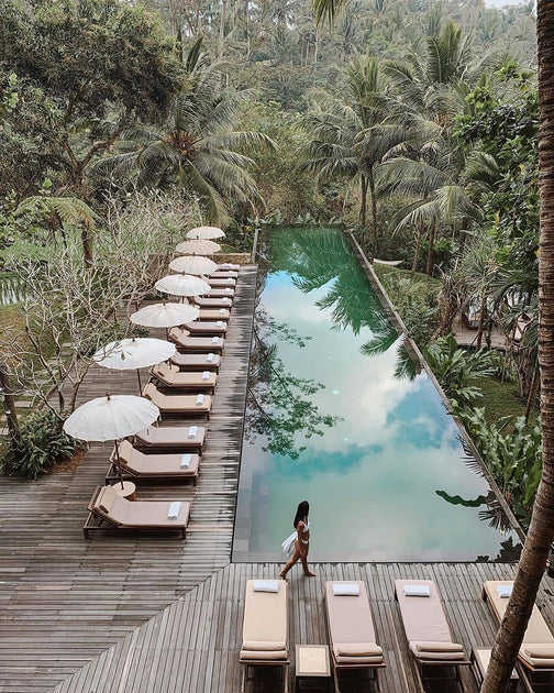 Java Indonesia Plantations: The World's Largest Exporter of Teak | KAYU ...